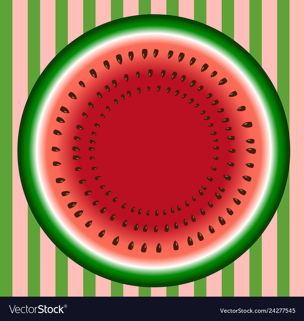 Watermelon slice background with seed and skin Vector Image