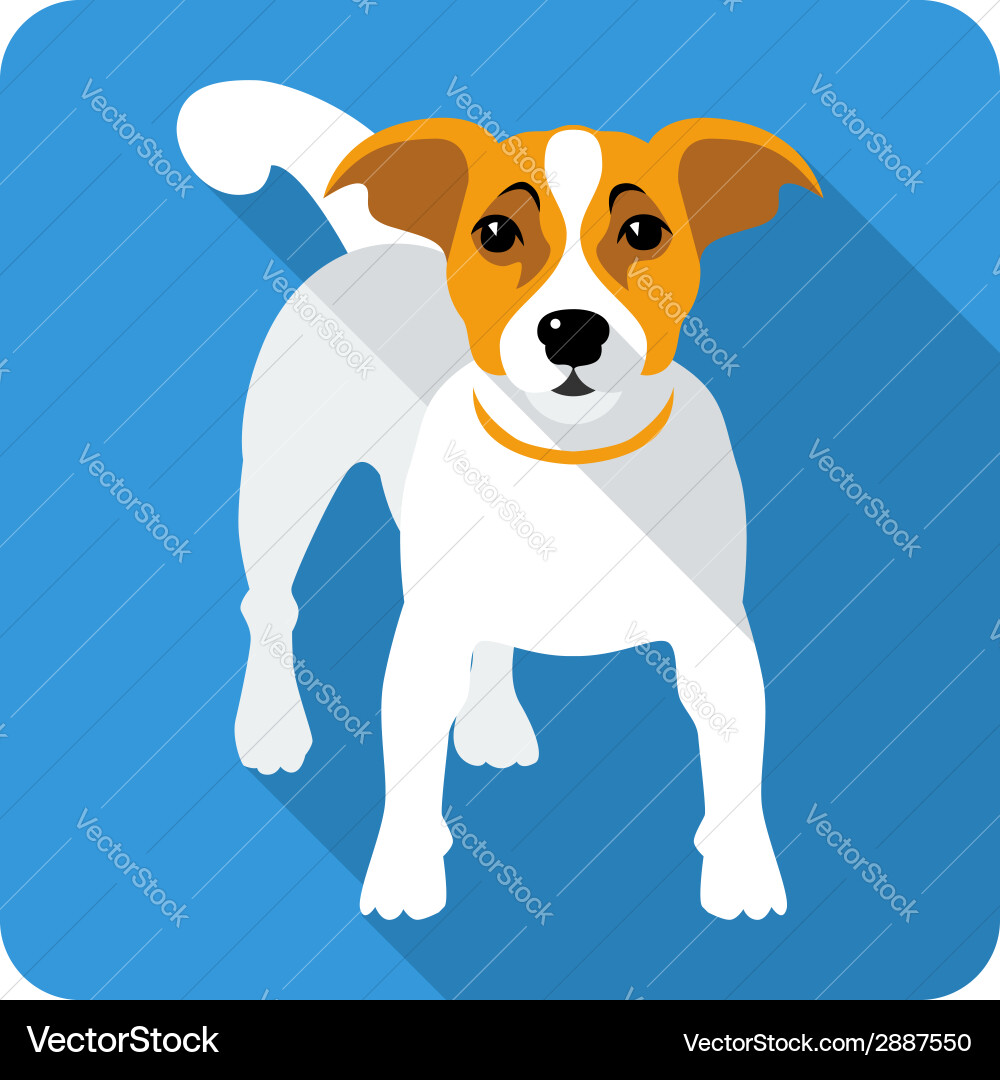Dog jack russell terrier icon flat design Vector Image