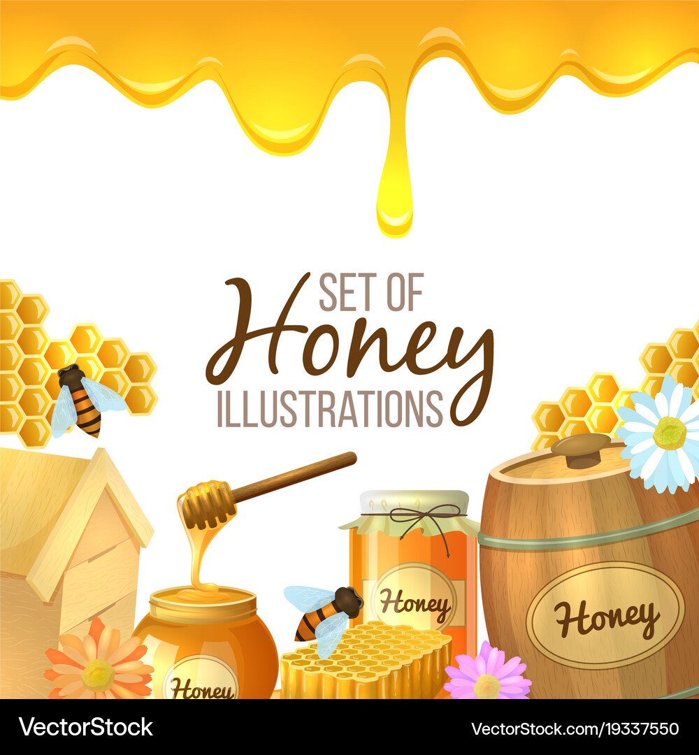 Set of honey Royalty Free Vector Image - VectorStock