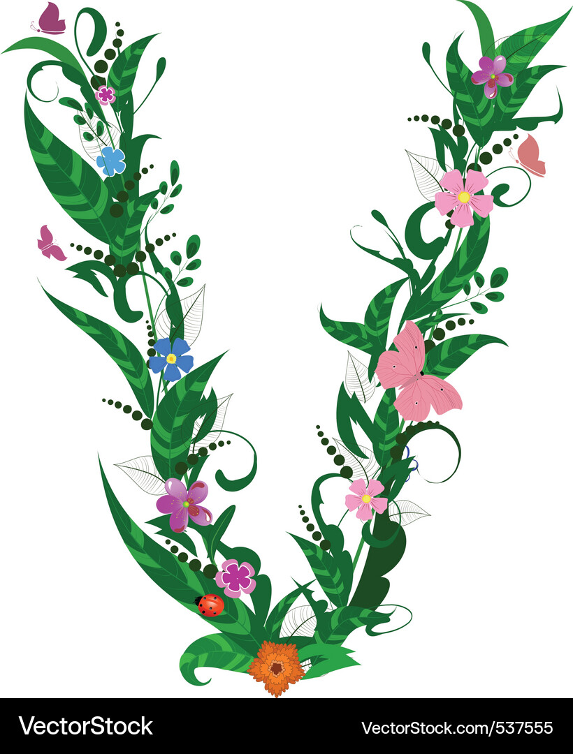 Cover letter flower Royalty Free Vector Image - VectorStock