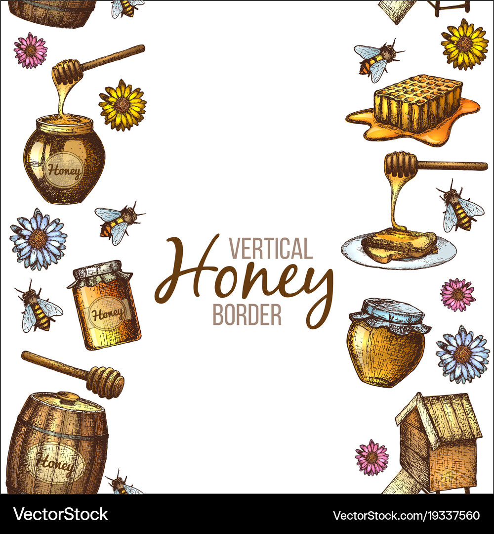 Border of honey Royalty Free Vector Image - VectorStock