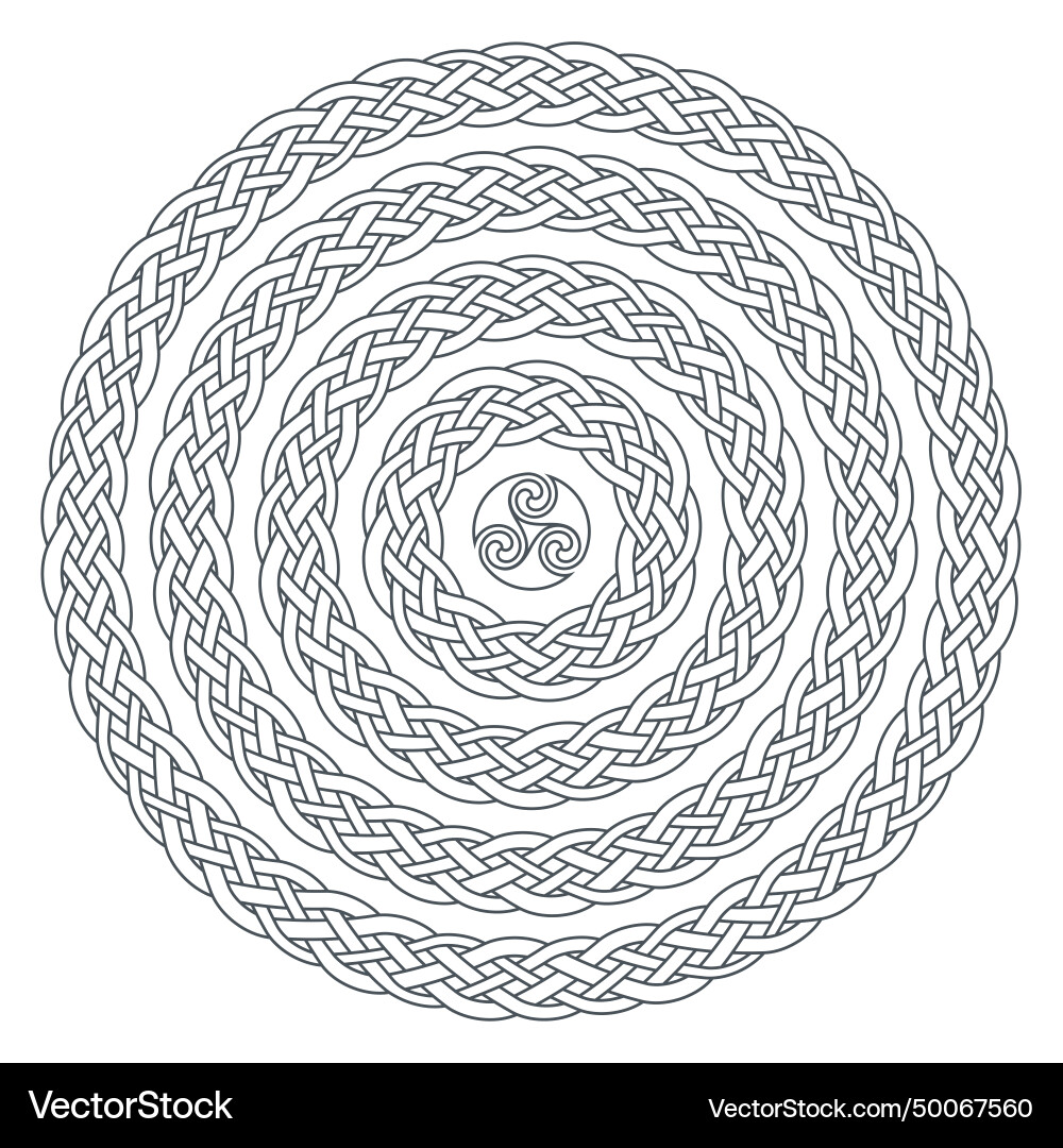 Celtic knot braided frame border ornaments set 4 Vector Image