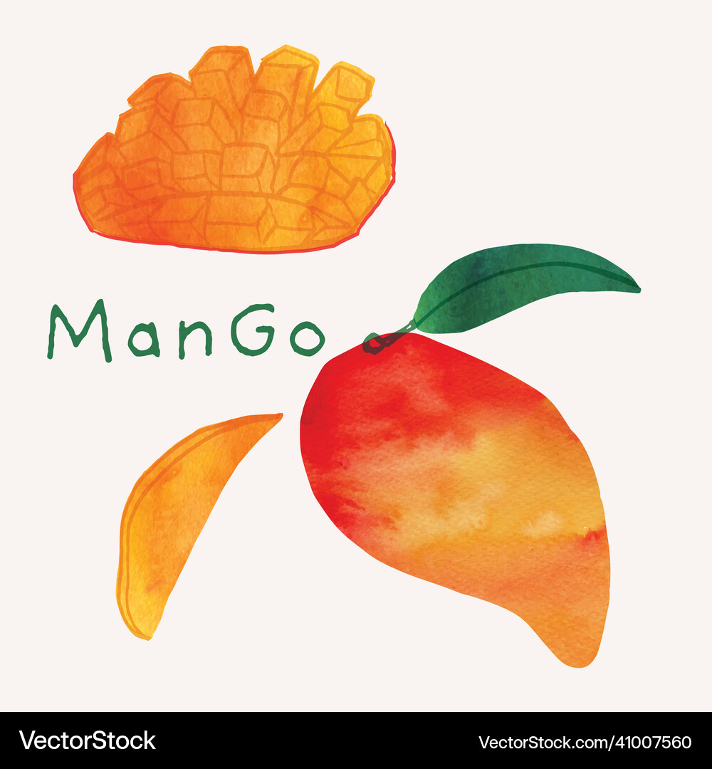 Mango tropical fruit watercolor set Royalty Free Vector