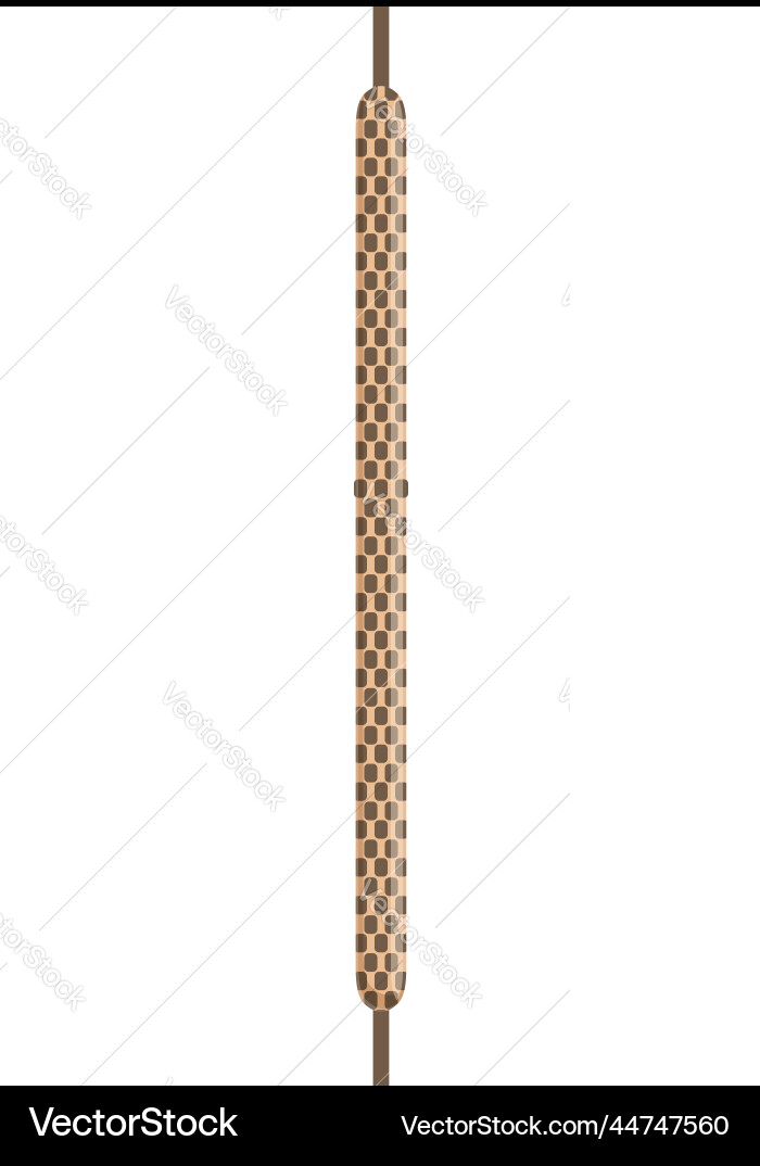 Shoestring Vector