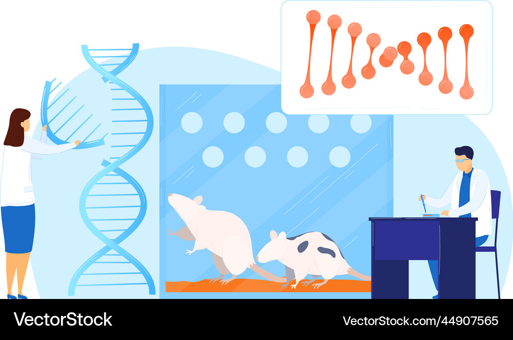 Science experiment with rat dna in medicine Vector Image