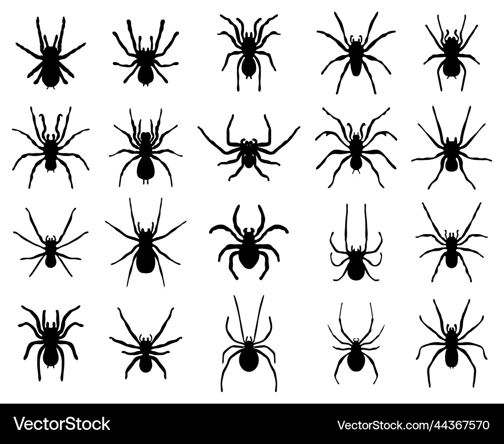 Black silhouettes of different spiders Royalty Free Vector
