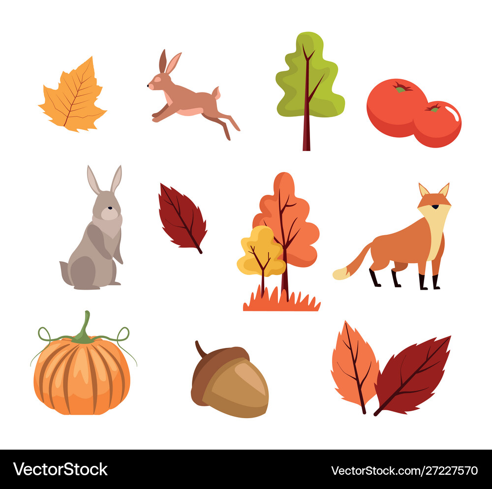 Bundle autumn season icons Royalty Free Vector Image