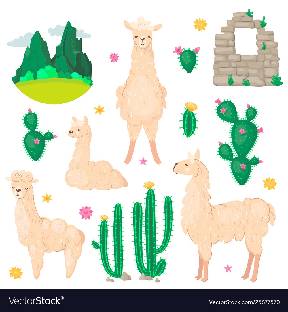 Lama and cactus set alpaca wool llamas Royalty Free Vector