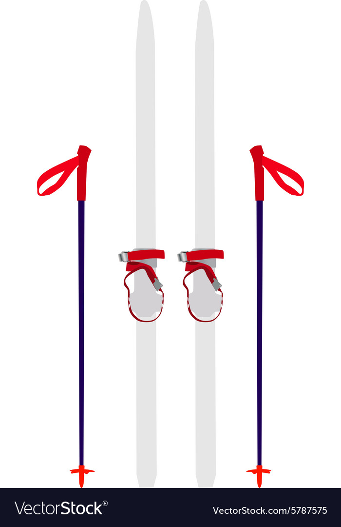 Ski equipment Royalty Free Vector Image - VectorStock