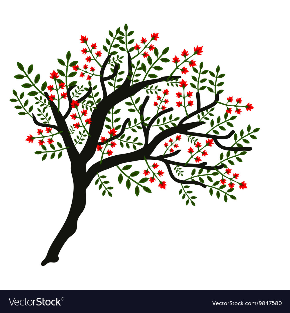 Isolated tree Royalty Free Vector Image - VectorStock