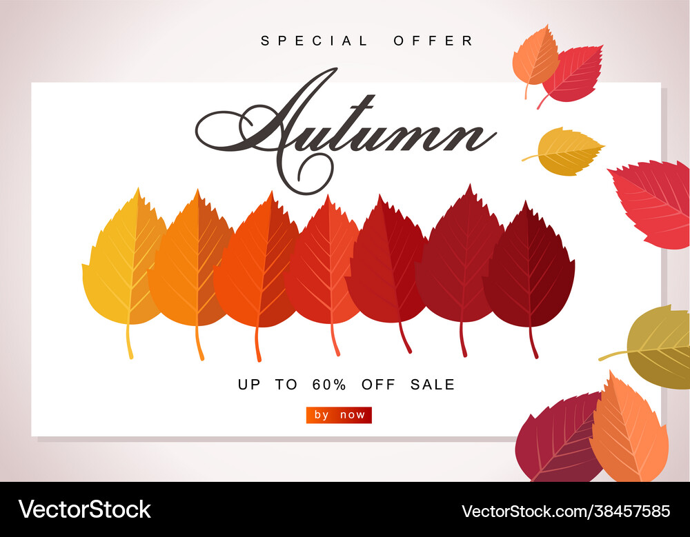 Autumn sale background template layouts Royalty Free Vector
