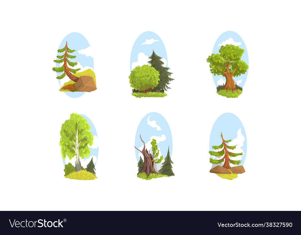 Beautiful green forest trees set summer or spring Vector Image