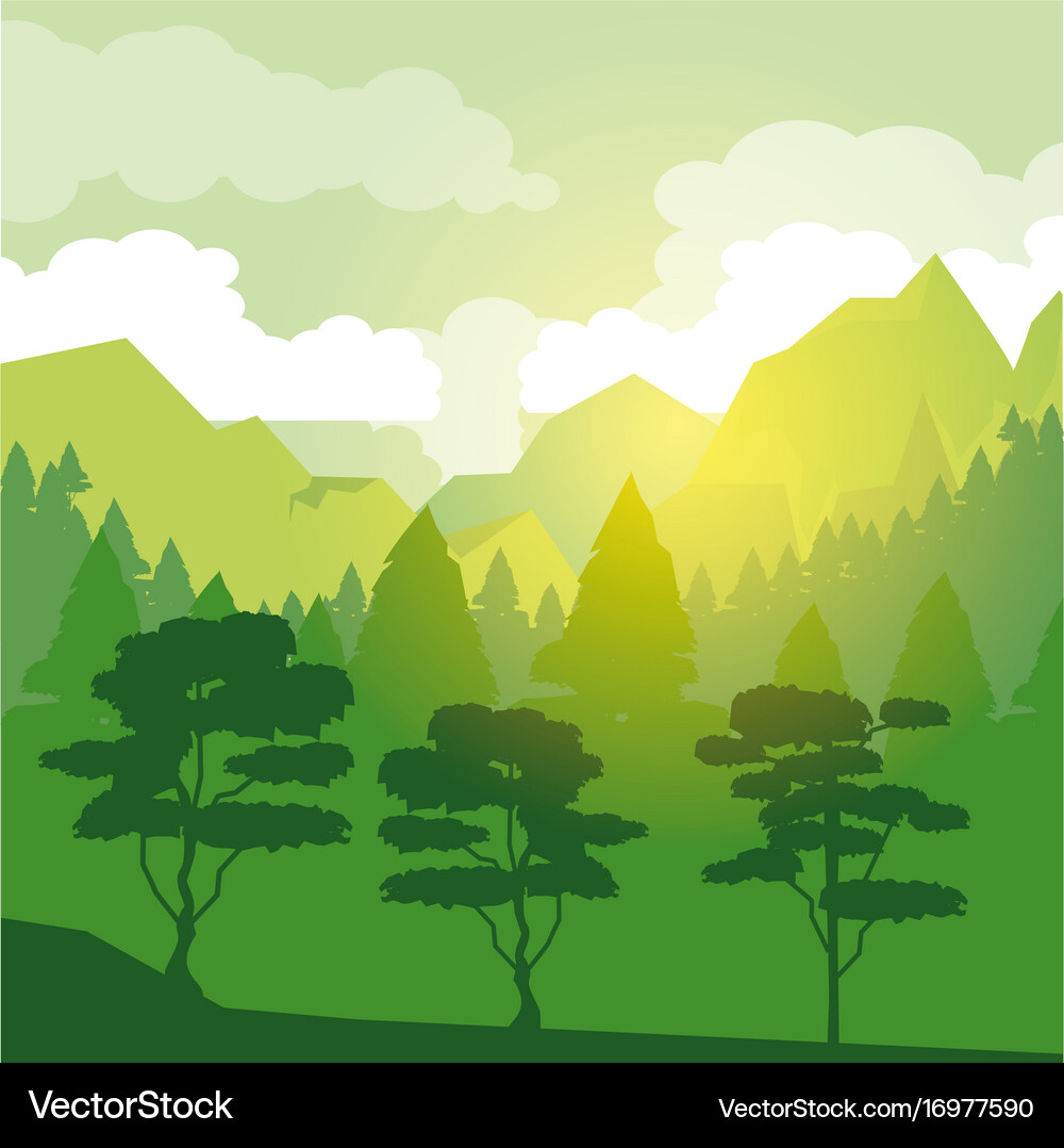 Colorful background with sunrise landscape Vector Image