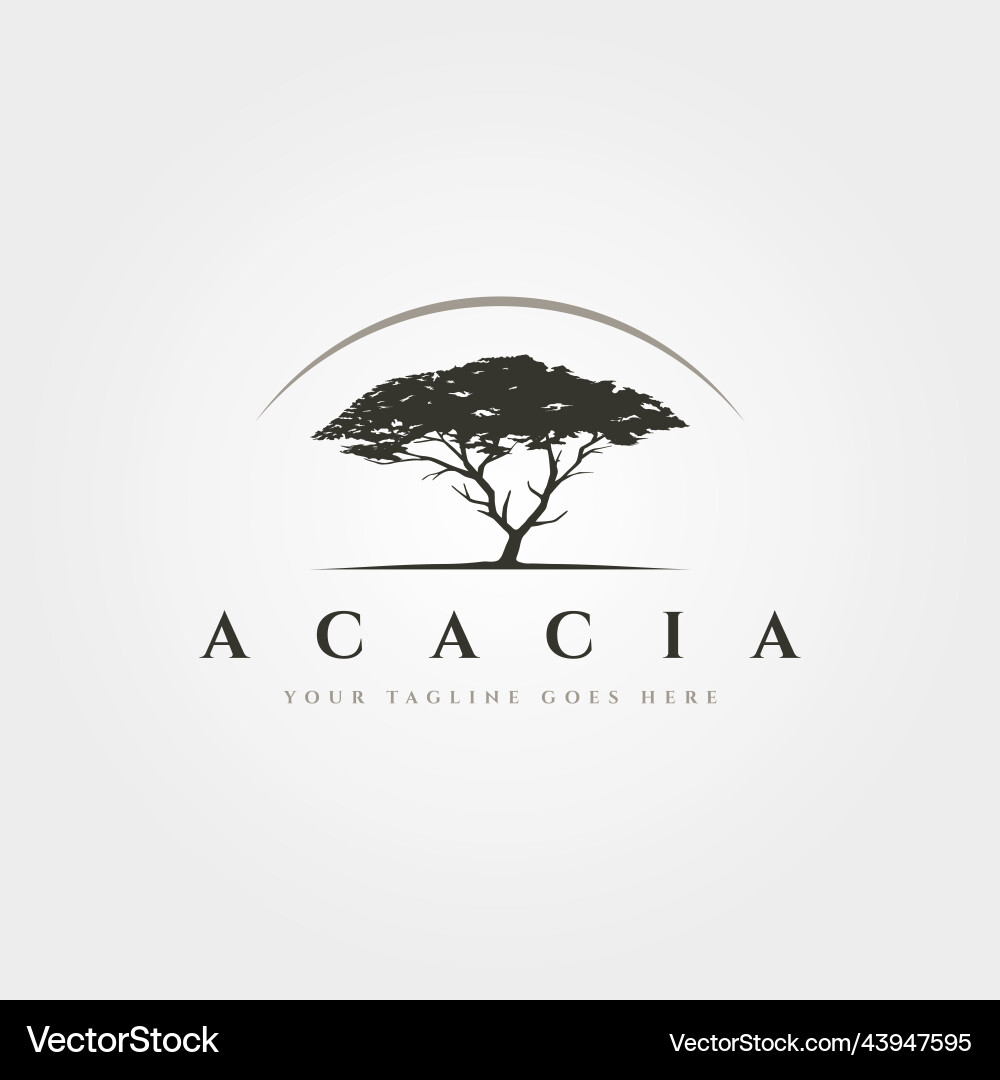 Acacia tree logo vintage symbol design old tree Vector Image