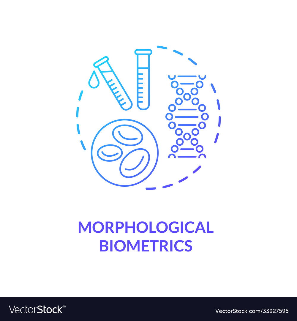 Morphological biometrics concept icon Royalty Free Vector Morphological biometrics concept icon Royalty Free Vector