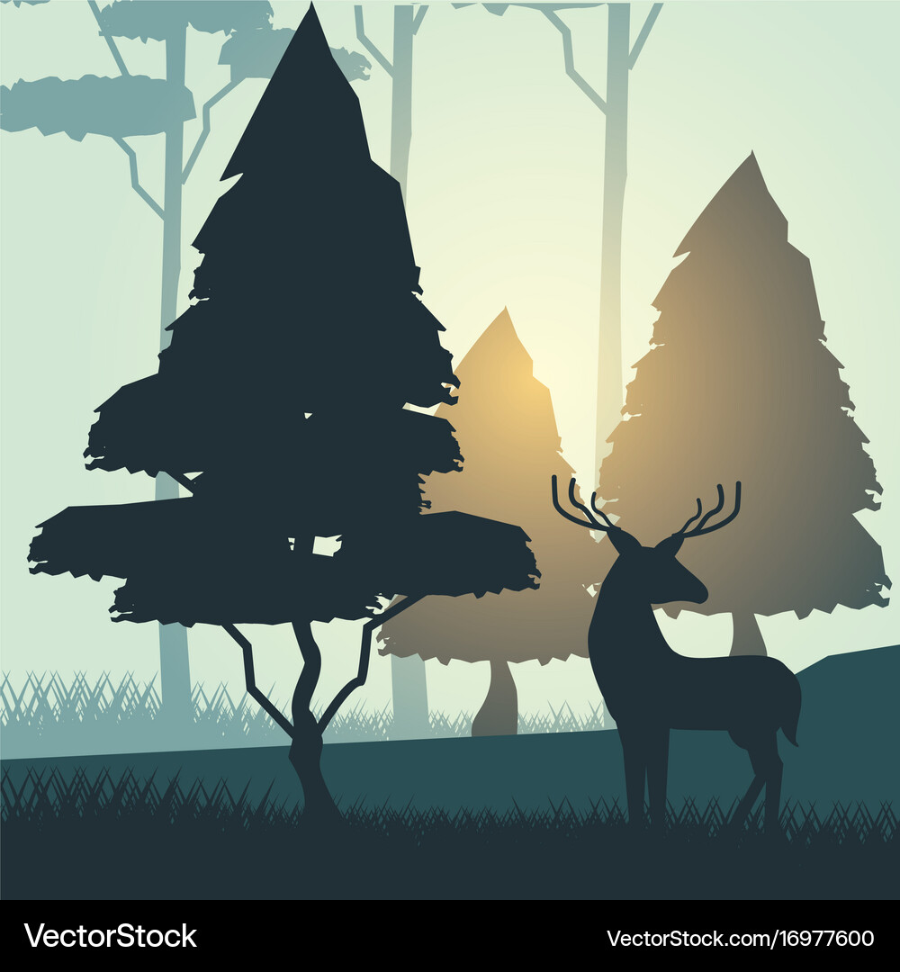 Colorful background with sunrise landscape Vector Image