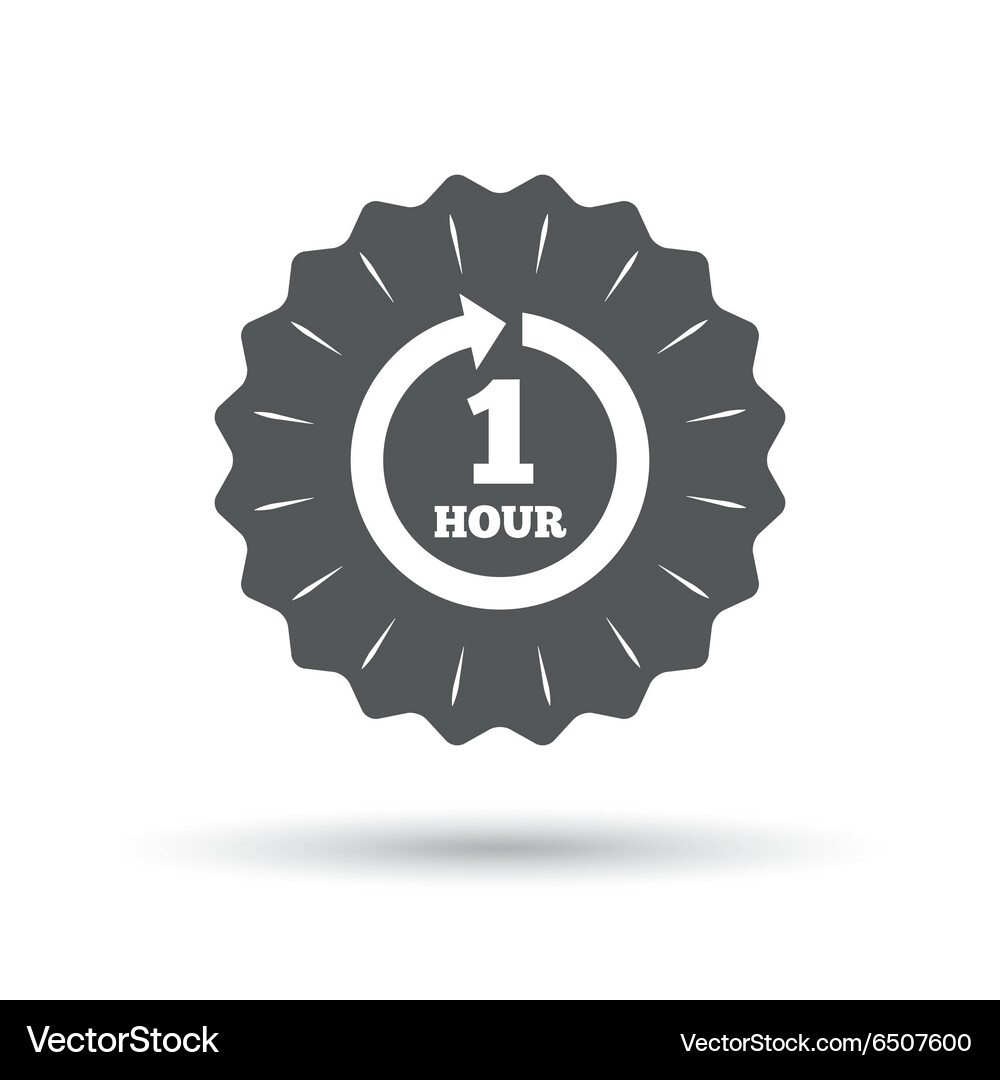 Every hour sign icon full rotation arrow Vector Image