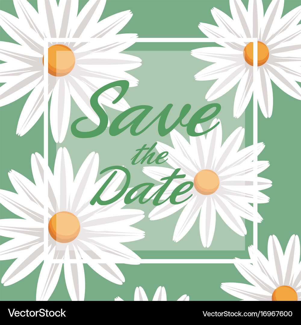 Green card background with decorative flowers Vector Image