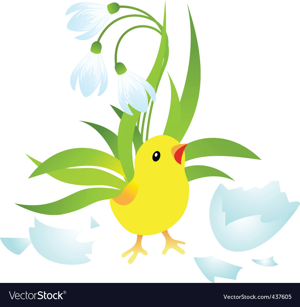Easter chick Royalty Free Vector Image - VectorStock