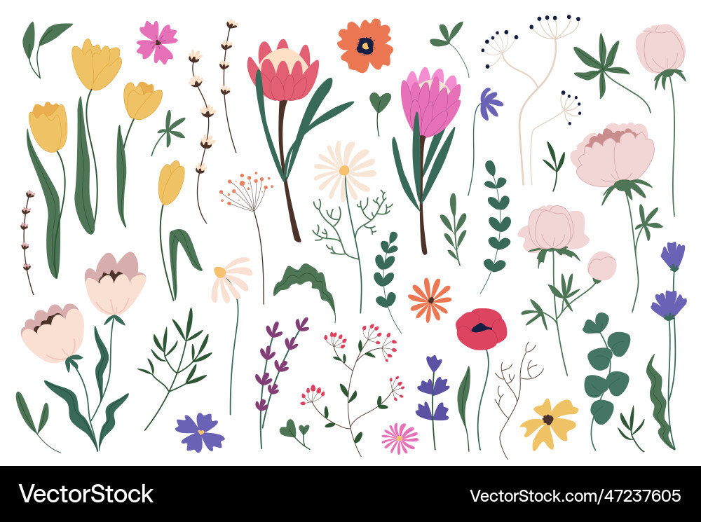 Flowers and herbs mega set graphic elements Vector Image