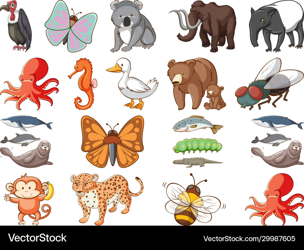 Large set wildlife with many types animals Vector Image