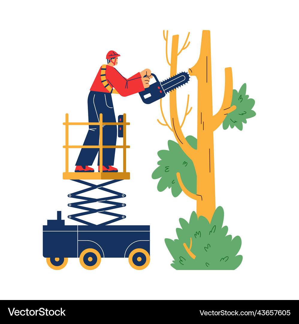 Man on aerial platform sawing tree with chainsaw Vector Image