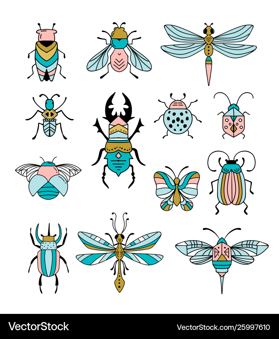 Bugs insects butterfly ladybug beetle Royalty Free Vector