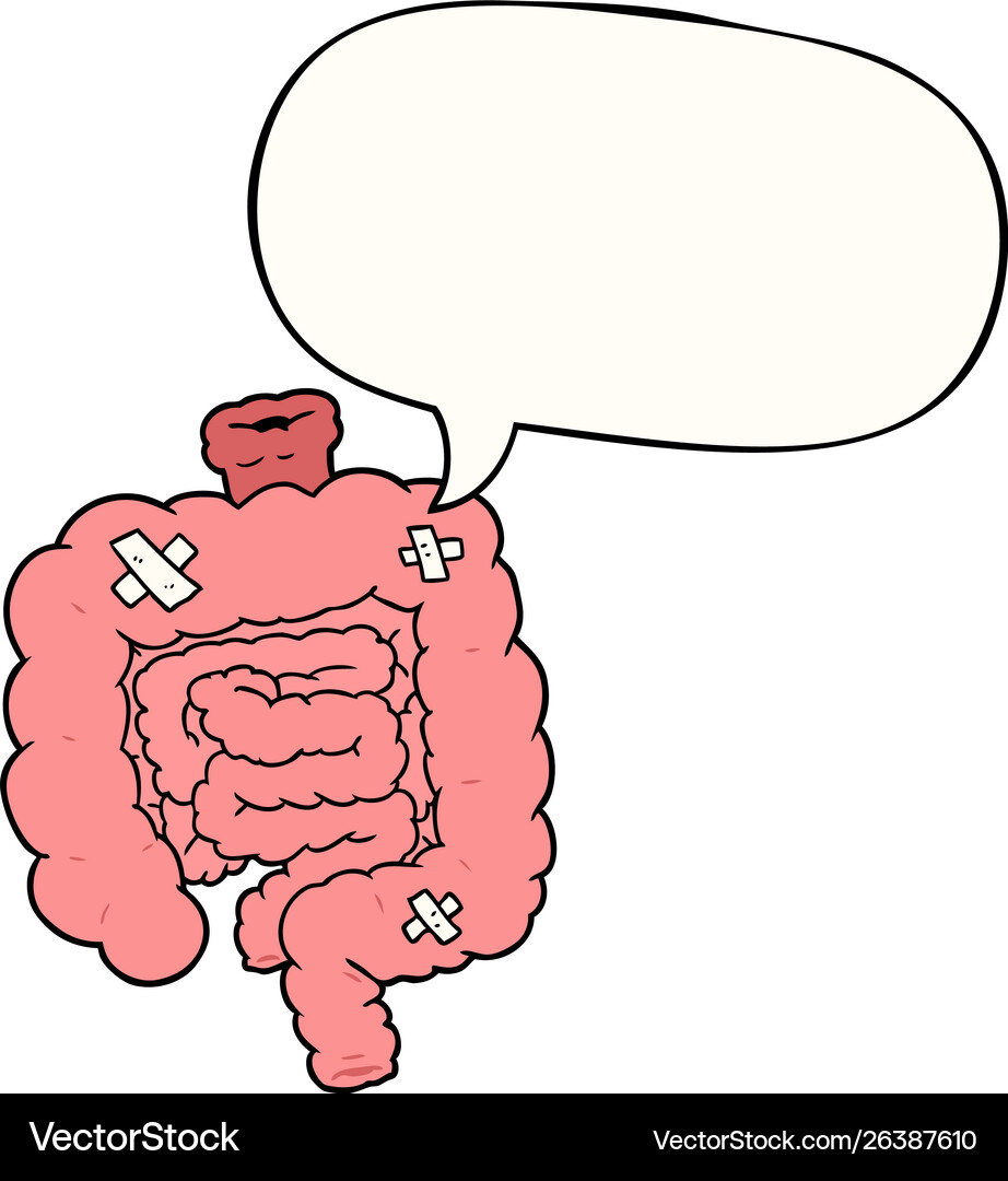 Cartoon repaired intestines and speech bubble Vector Image