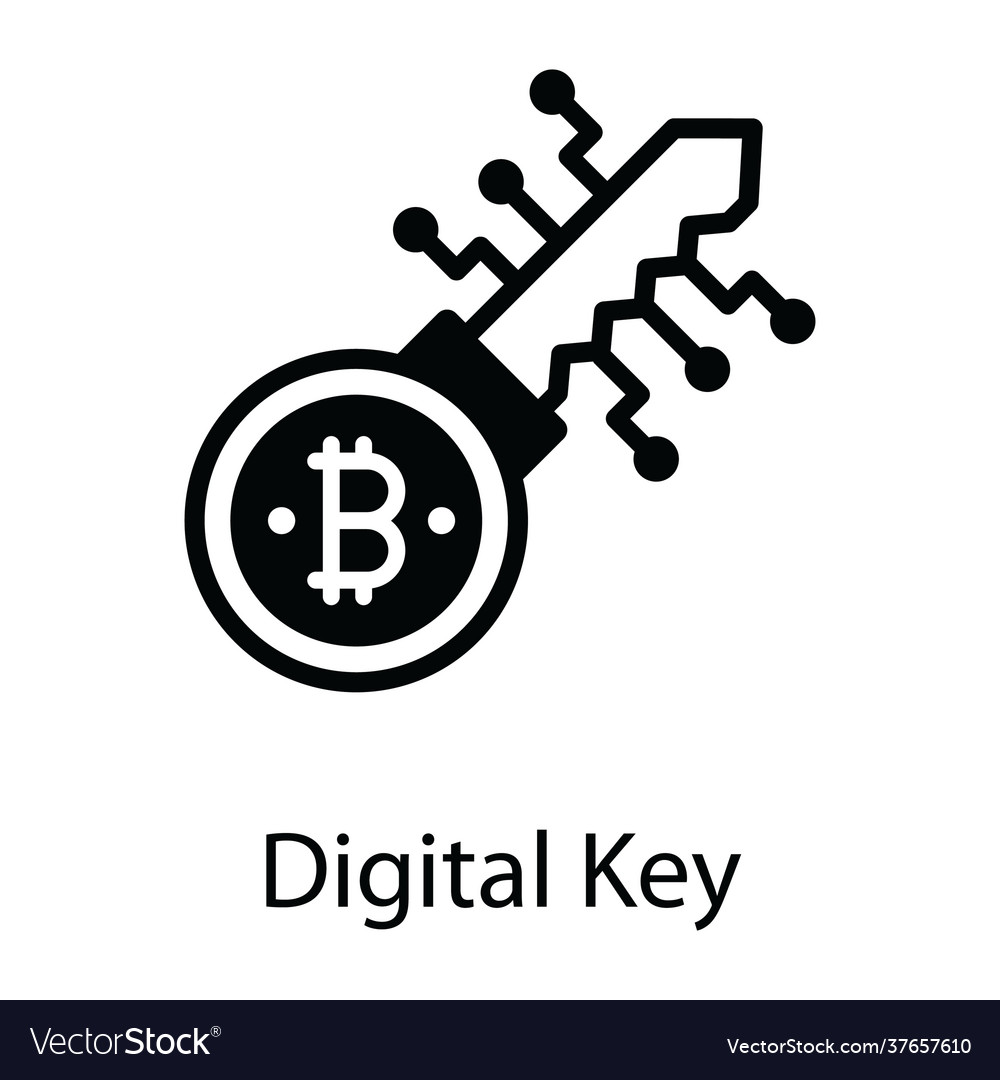 Digital key Royalty Free Vector Image - VectorStock