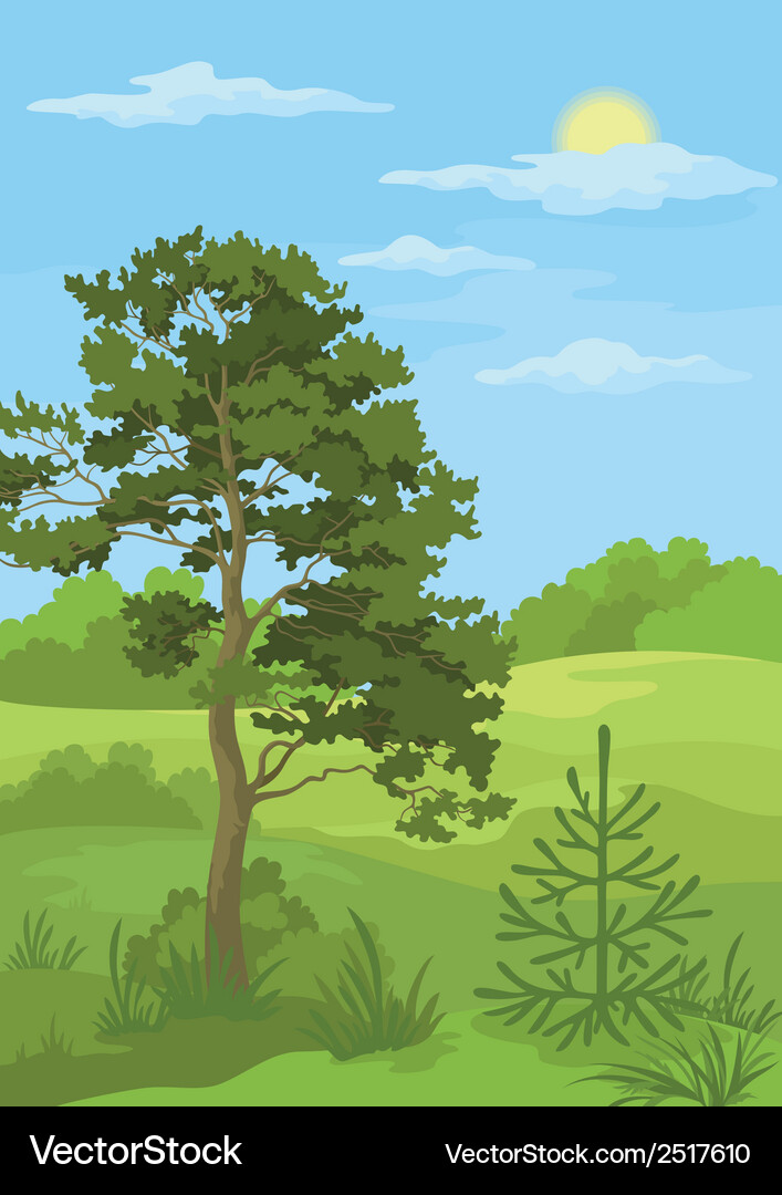 Summer landscape with trees and blue sky Vector Image