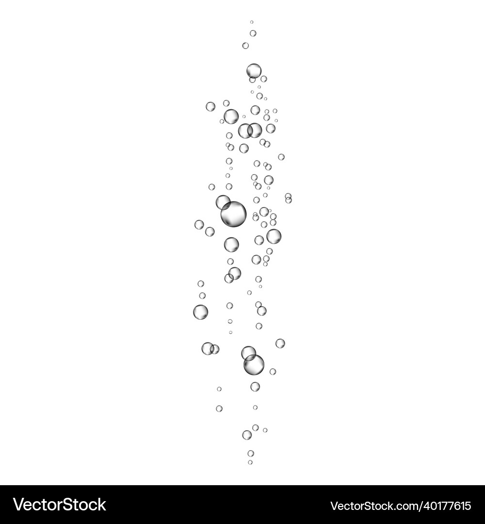 Underwater fizzing air bubbles stream on white Vector Image
