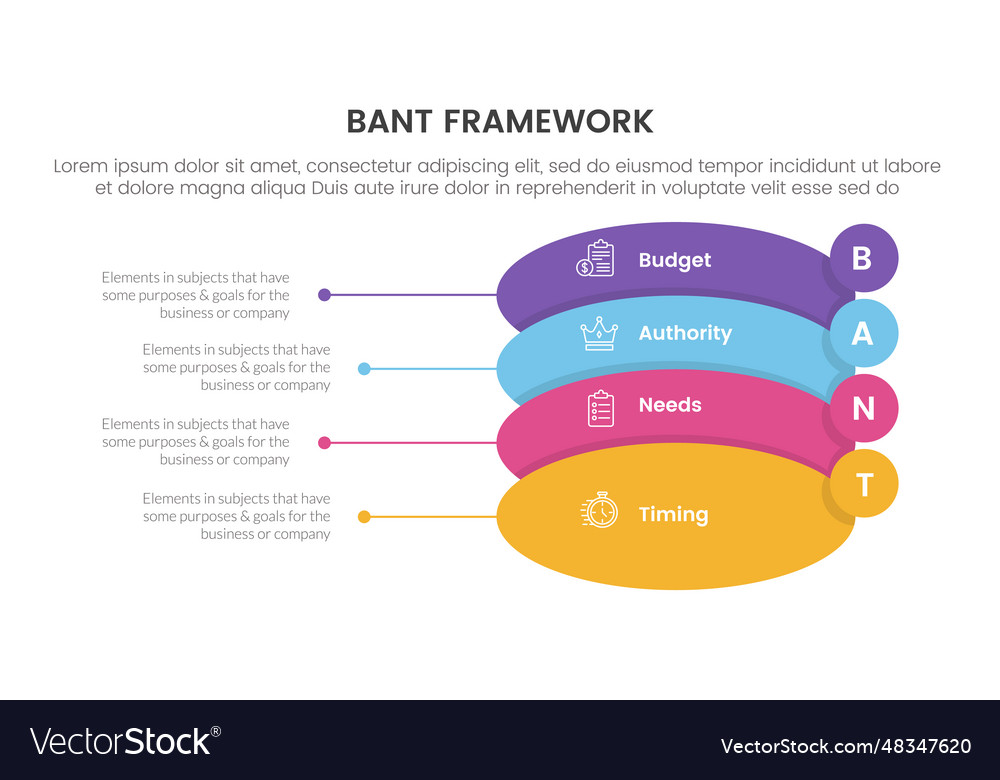 Bant sales framework methodology infographic Vector Image