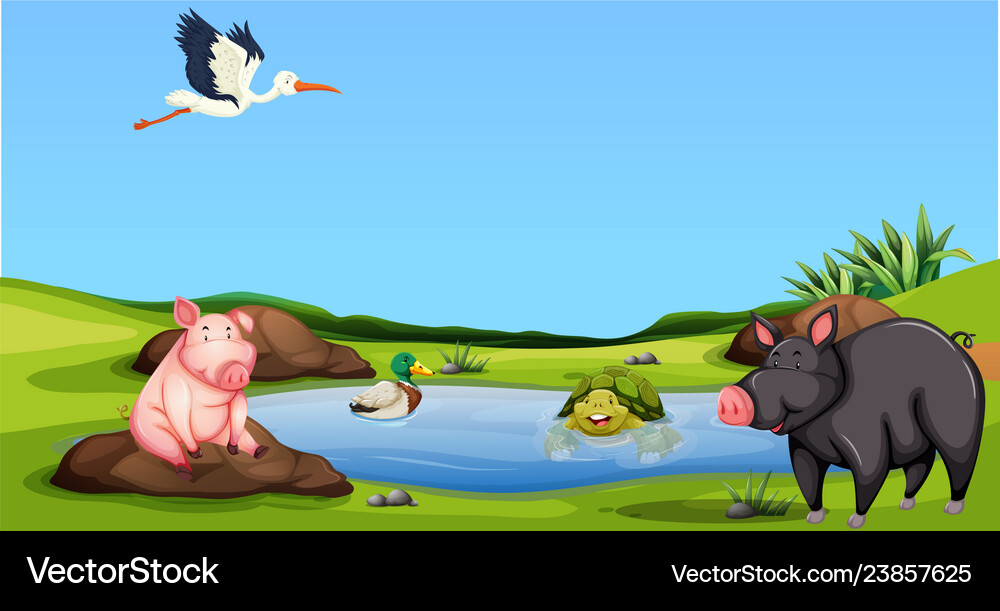 Animal at the pond Royalty Free Vector Image - VectorStock