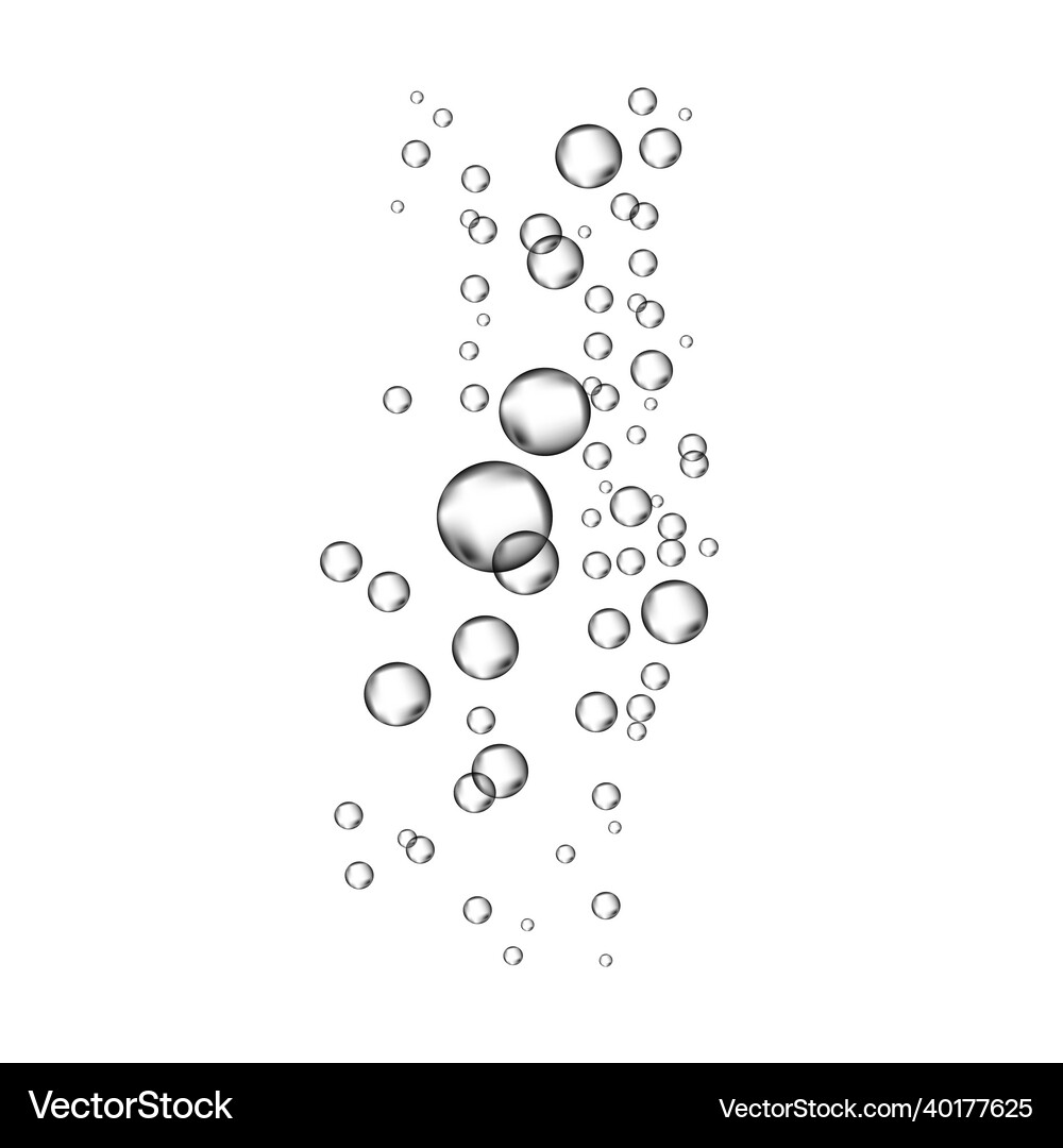 Realistic 3d oxygen bubbles stream in water sea Vector Image
