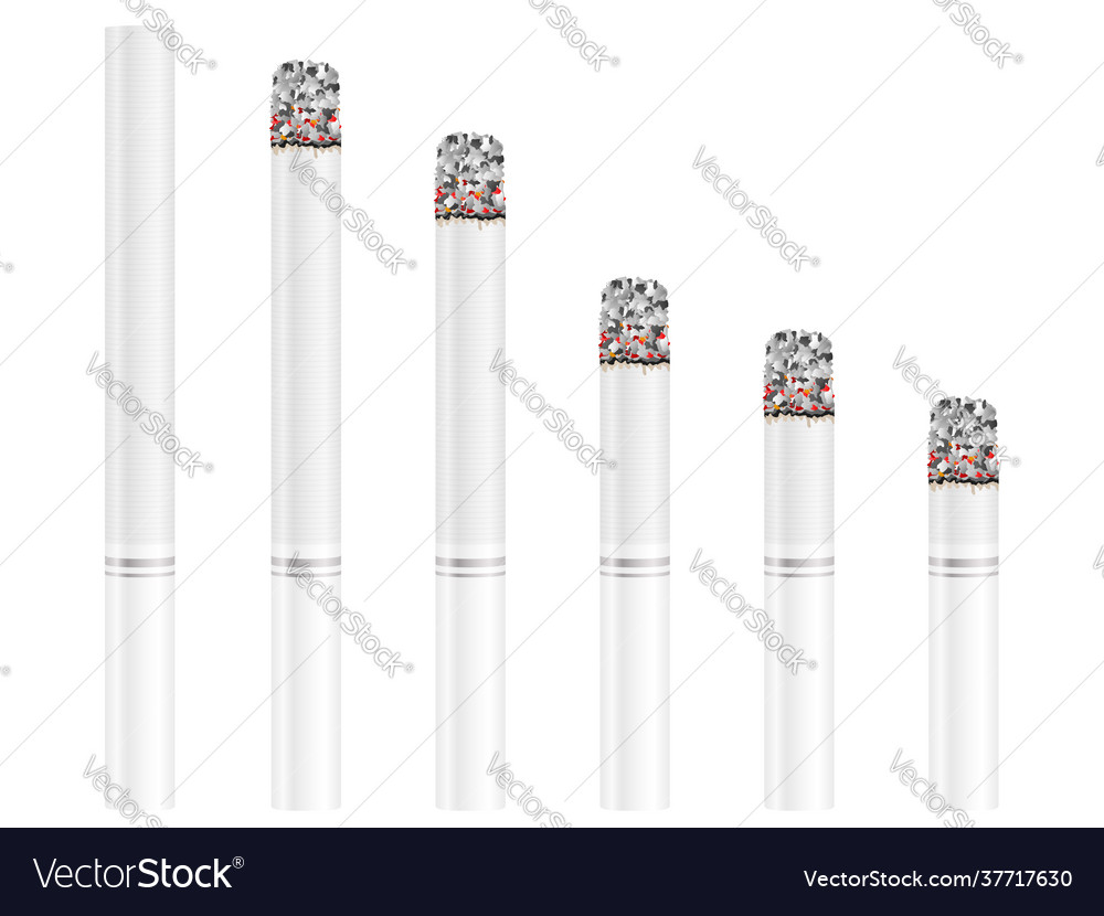 Cigarette Royalty Free Vector Image - VectorStock