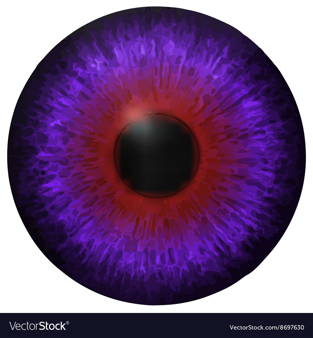 Eye iris texture Royalty Free Vector Image - VectorStock