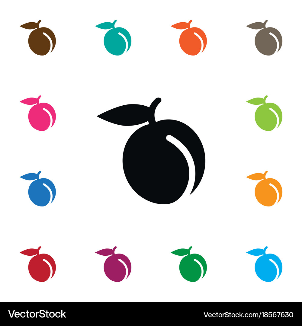 Isolated juicy icon apricot element can Royalty Free Vector