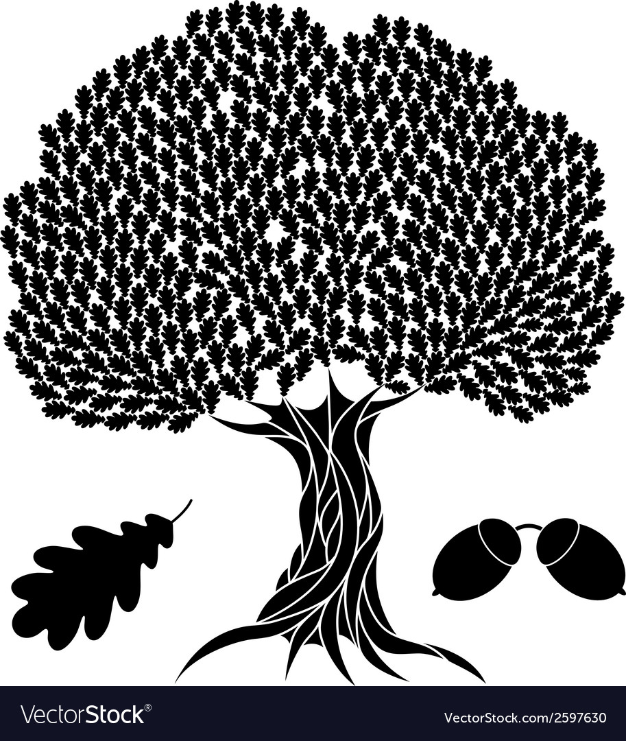 Oak Royalty Free Vector Image - VectorStock