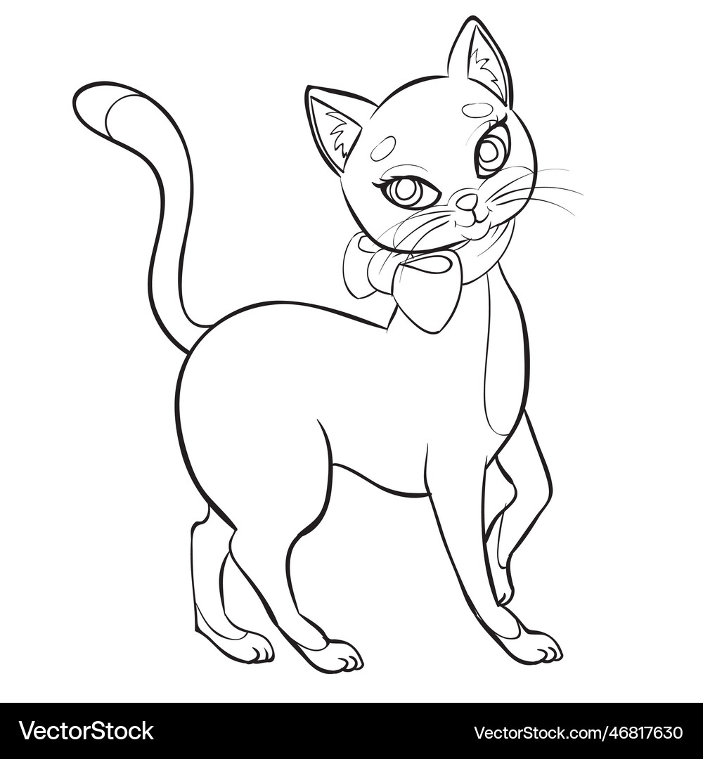 Sketch elegant cat with a bow around its neck Vector Image