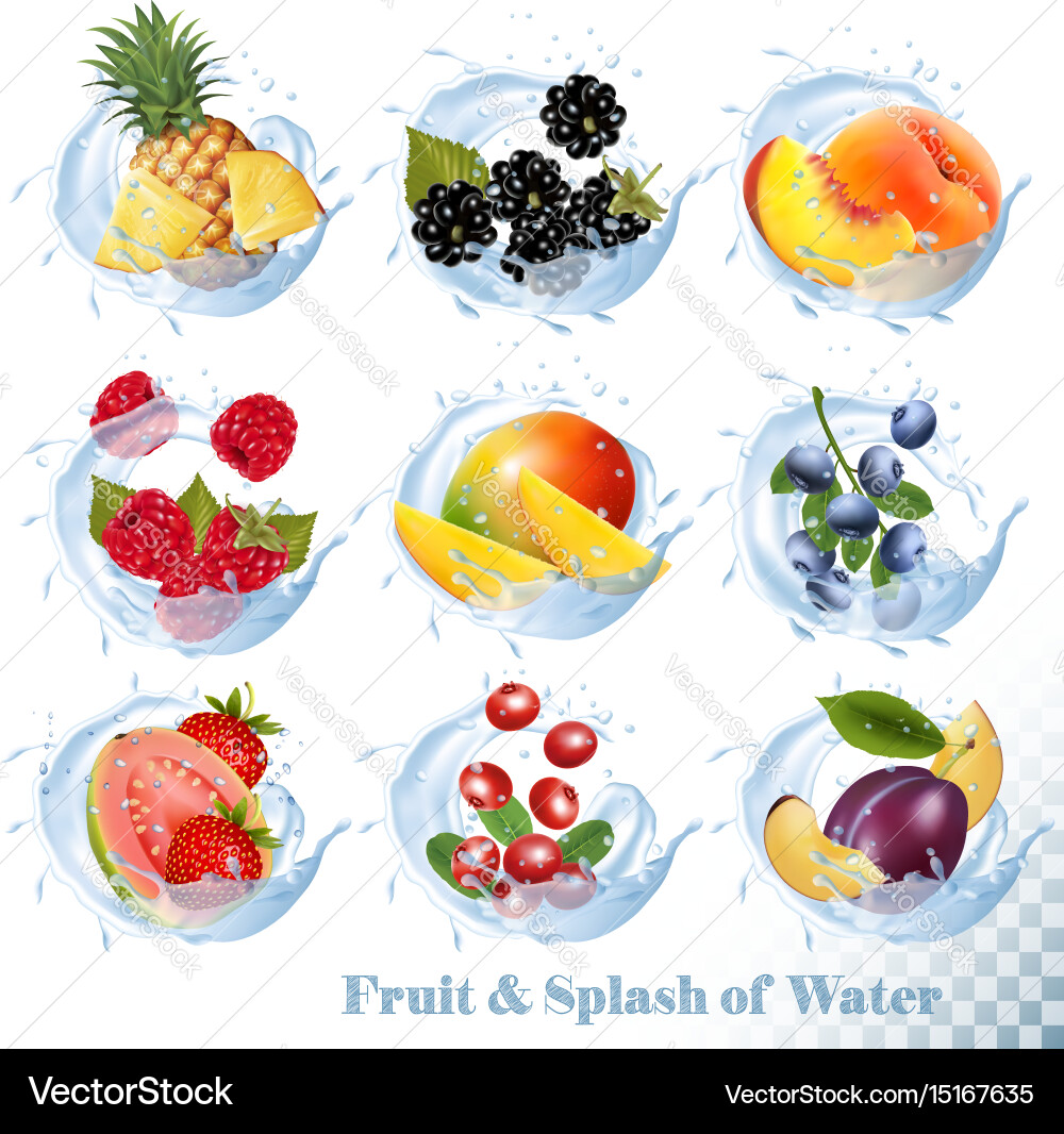 Big collection fruit in a water splash icons Vector Image