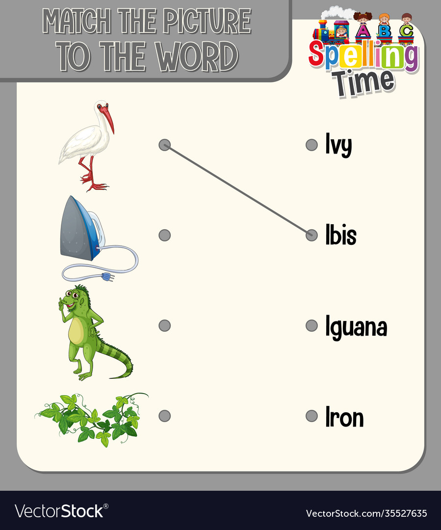 Match picture to word worksheet Royalty Free Vector Image
