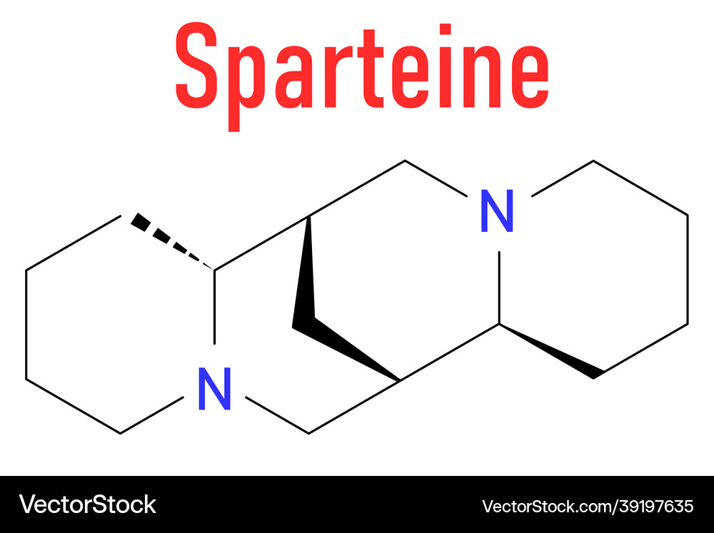 Skeletal formula of sparteine molecule Royalty Free Vector