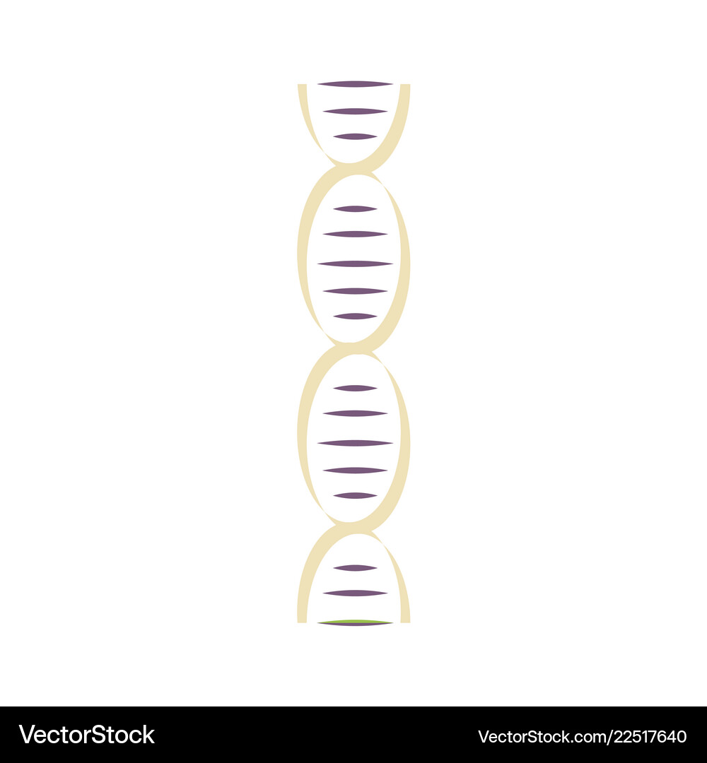 Dna genetic sign elements and icons collection Vector Image