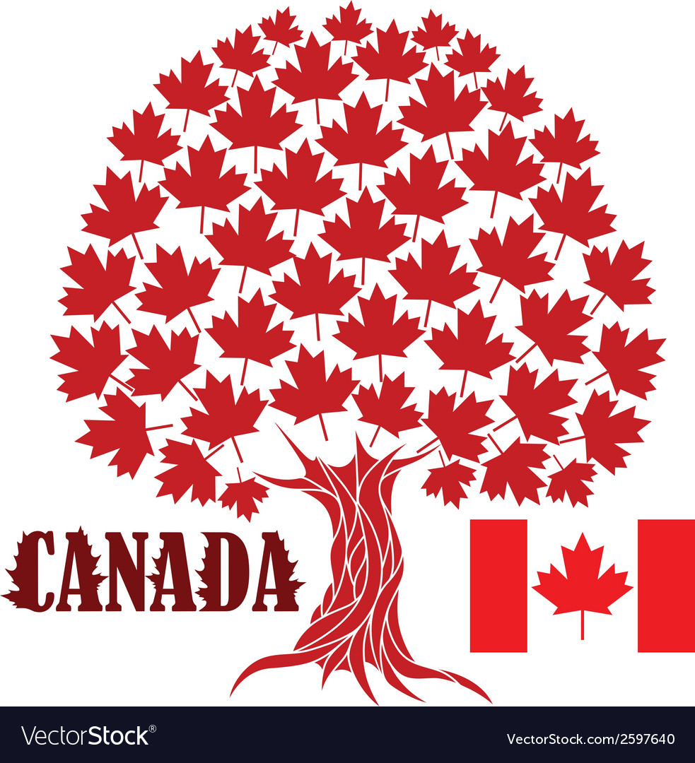 Maple tree Royalty Free Vector Image - VectorStock