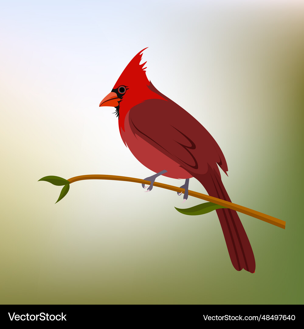 Northern cardinals premium Royalty Free Vector Image