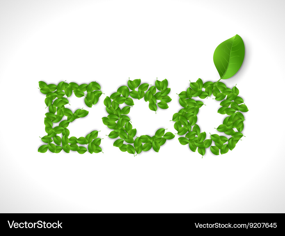 Eco friendly word fresh made of green leafs Vector Image