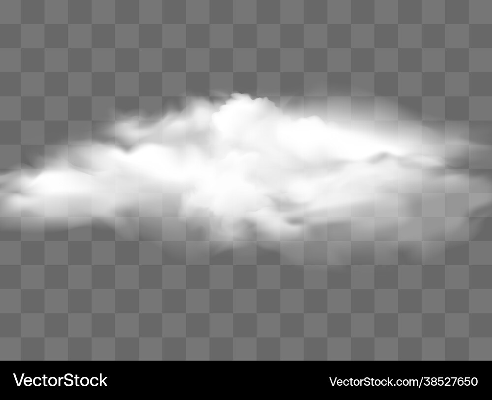 Fog or smoke isolated transparent special effect Vector Image