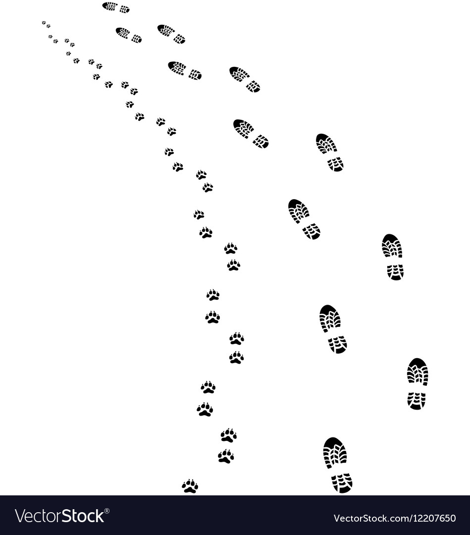 Footprints of man and dog Royalty Free Vector Image