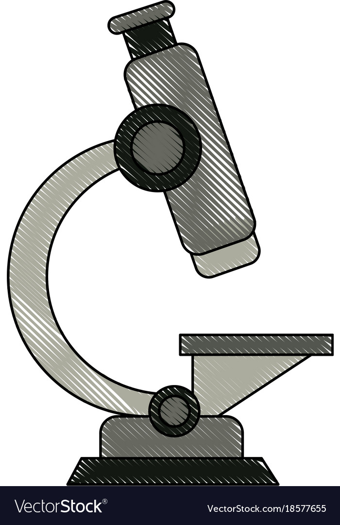 Microscope lab tool Royalty Free Vector Image - VectorStock