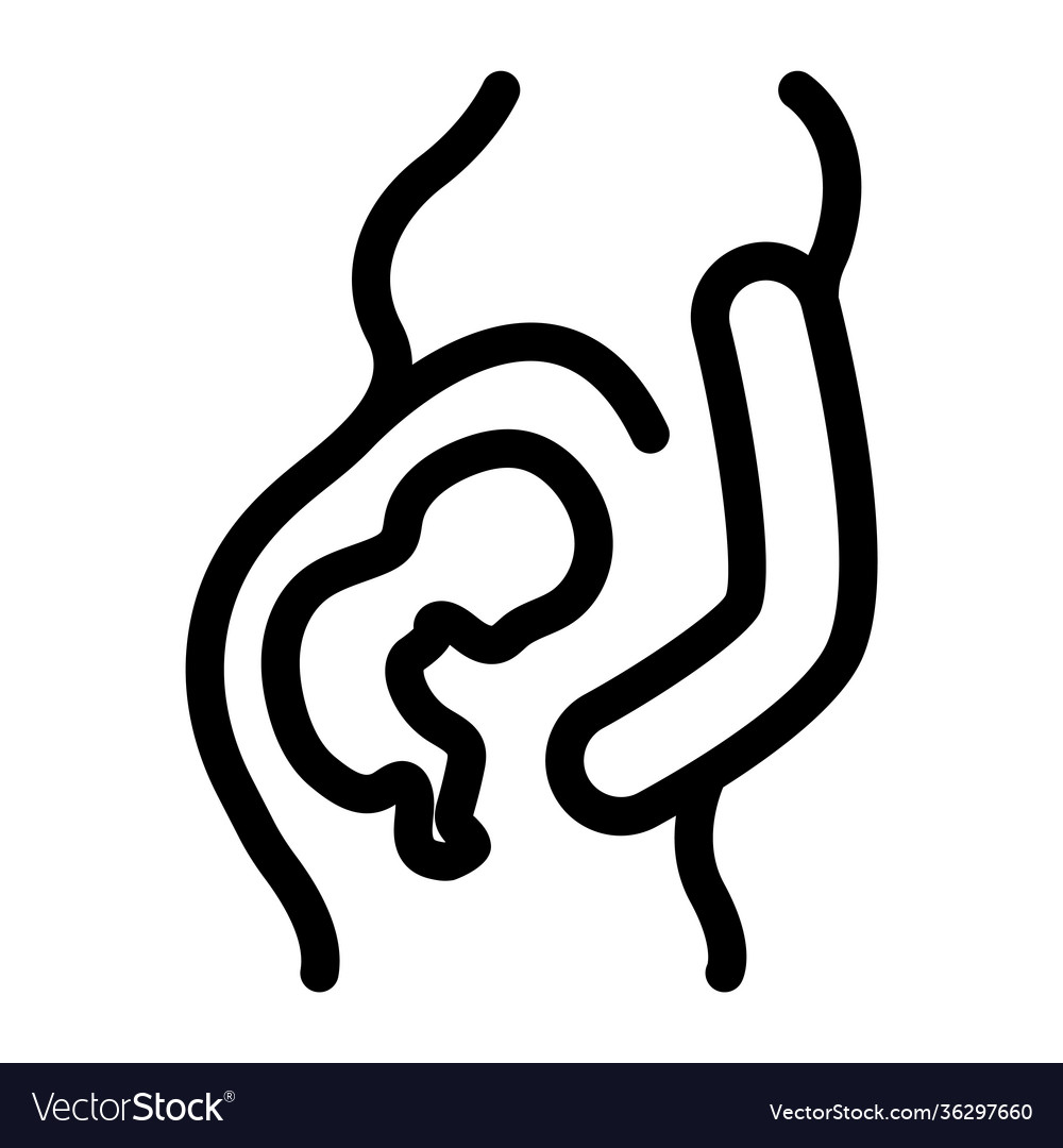 Human fetus Royalty Free Vector Image - VectorStock
